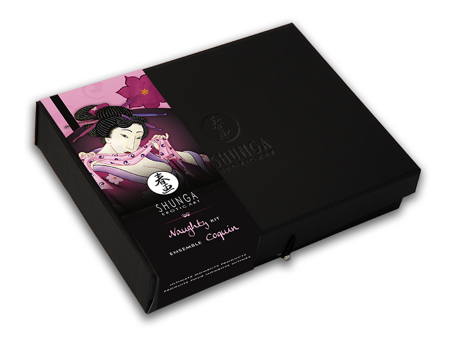 Coffret érotique Shunga Naughty Kit Lingerie Pierre